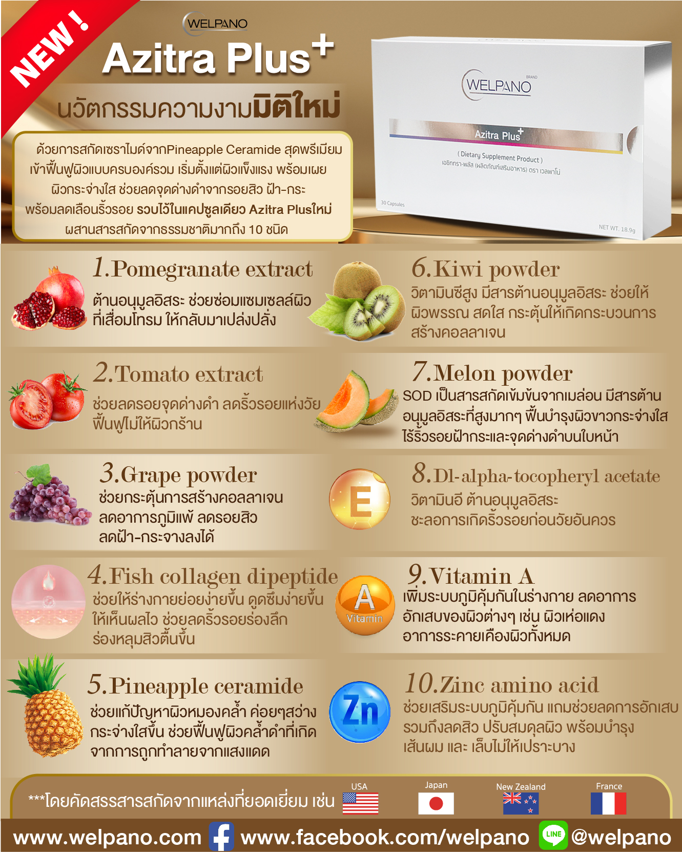 Welpano Azitra Dietary Supplement Product - Welpano Cosmetics
